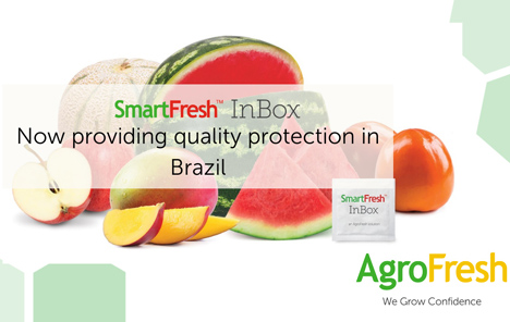 AgroFresh erweitert seine Frischelösungen für O&G in Brasilien mit SmartFresh InBox ‹ Fruchtportal